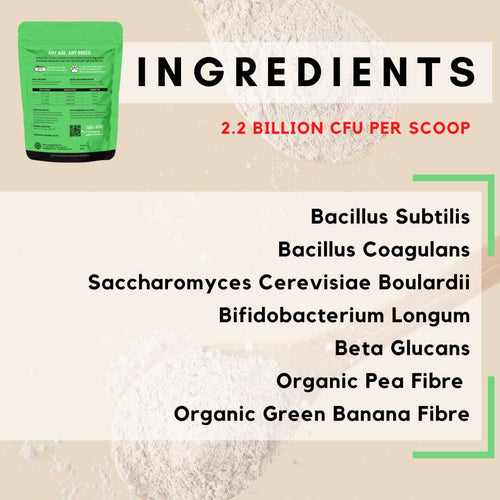 Dog Supplements Australia | Petz Park